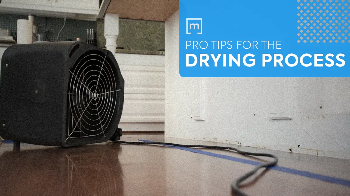 Water Damage Restoration: Pro Tips for the Drying Process