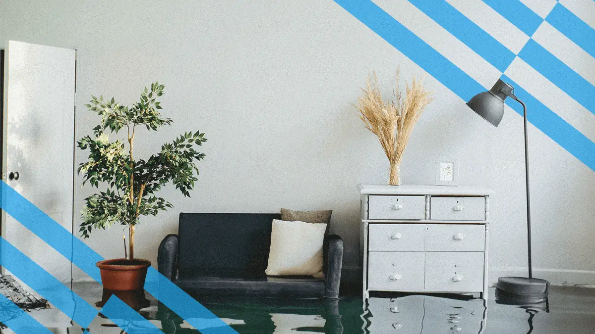 Understanding Water Damage Categories 2 and 3: Restoration Contractors